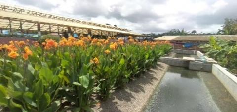 Anaerobic Faecal Sludge Treatment Plant - Humanitarian Sanitation Hub