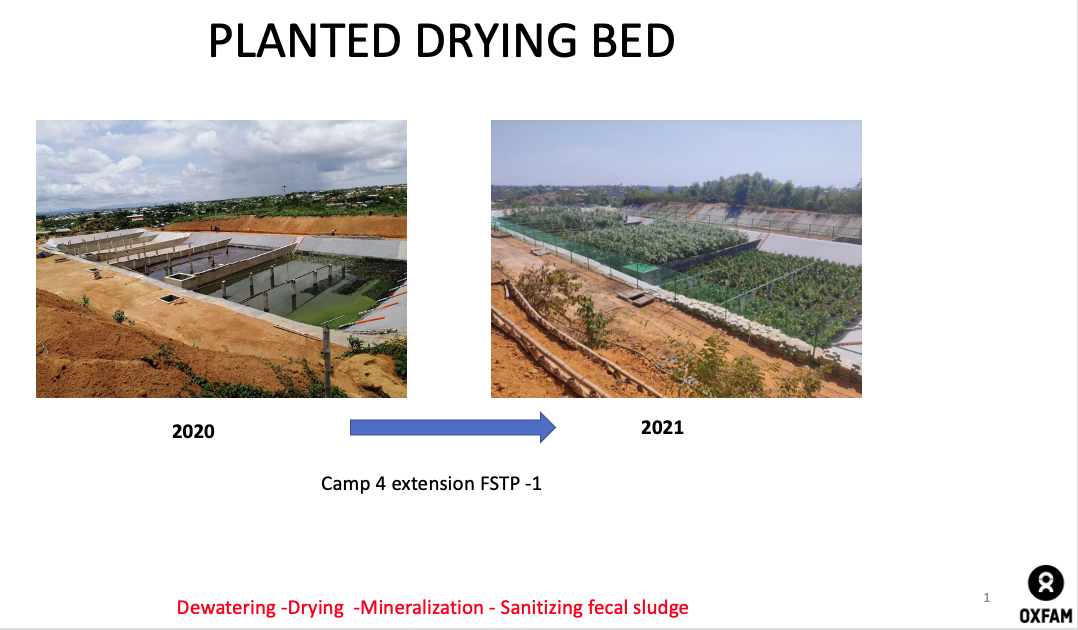 Planted Drying Bed - Humanitarian Sanitation Hub