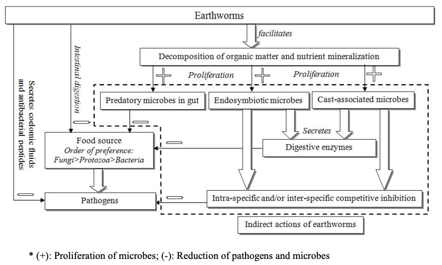 5.4 Vermicompost and pathogen reduction - Humanitarian Sanitation Hub